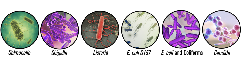 Chromogenic Identification of Indicator Organisms in Compressed Air ...