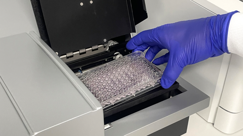 Microbial Identification - Trace Analytics, the AirCheck Lab