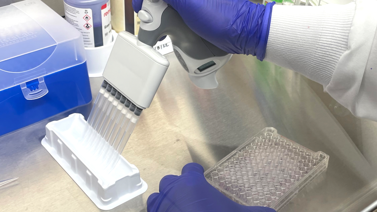 Microbial Identification - Trace Analytics, the AirCheck Lab